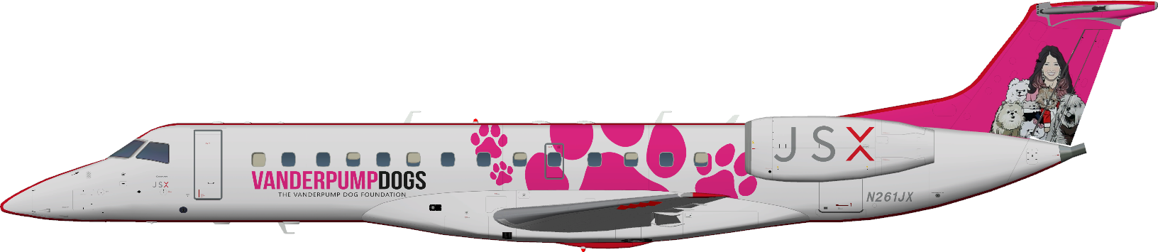 JSX N261JX – KYLE'S AI WORKS